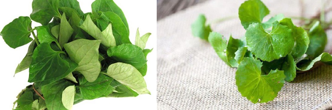 [Bật mí] 7 cách làm đẹp với rau má siêu hiệu quả