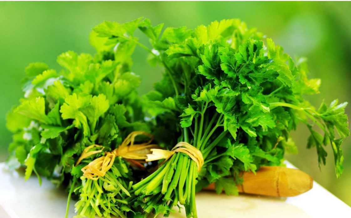 Khám phá 10 lợi ích sức khỏe từ ngò rí ít ai biết