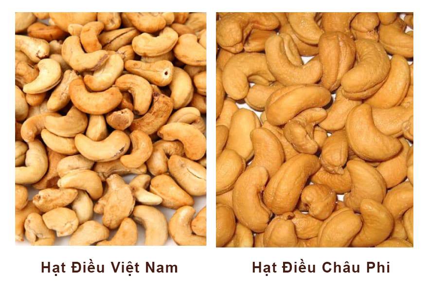 Hạt điều 🌿 9 lợi ích ít biết và cách phân biệt